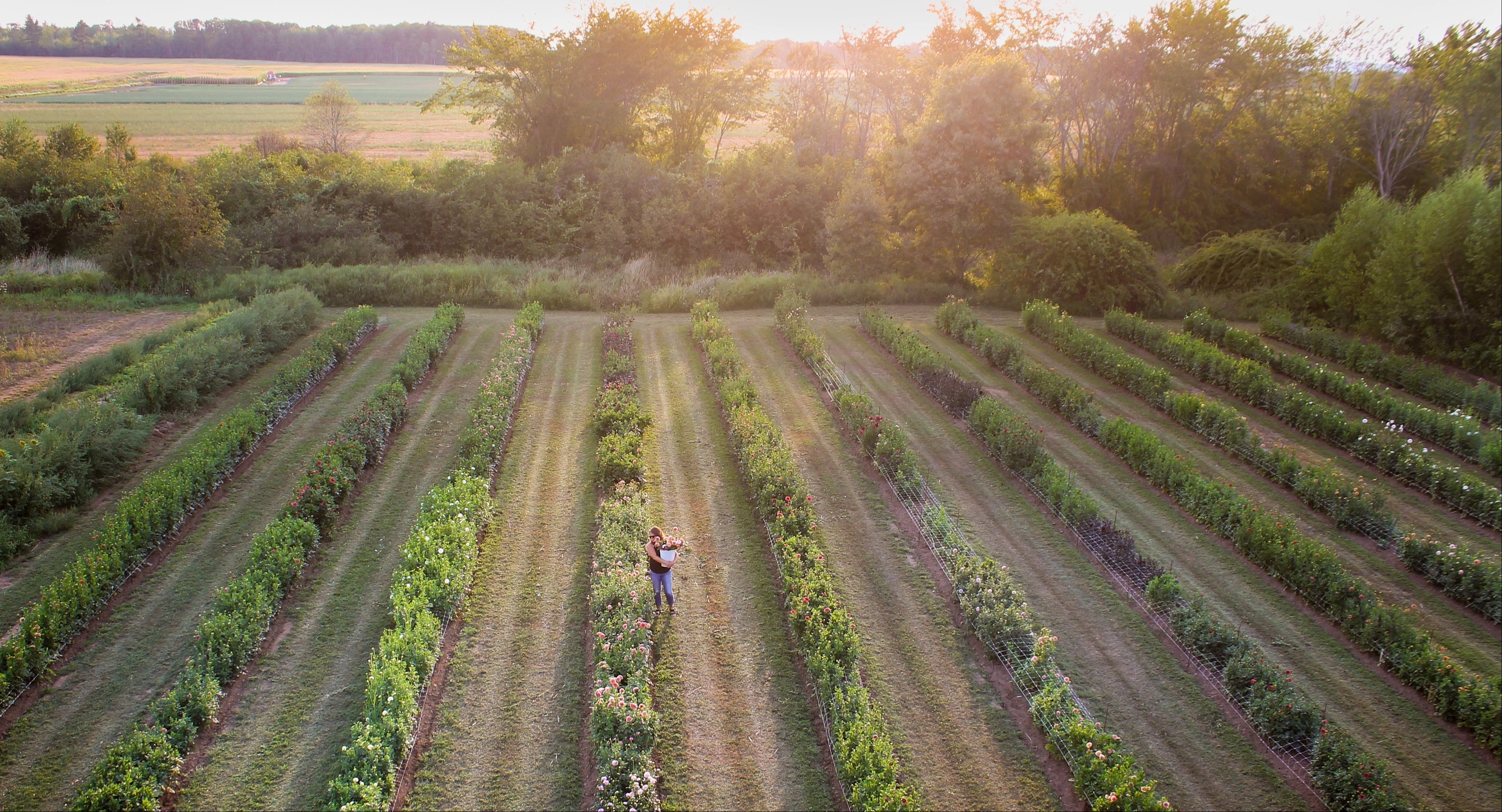 Greener Pastures Farm – greenerpasturesns